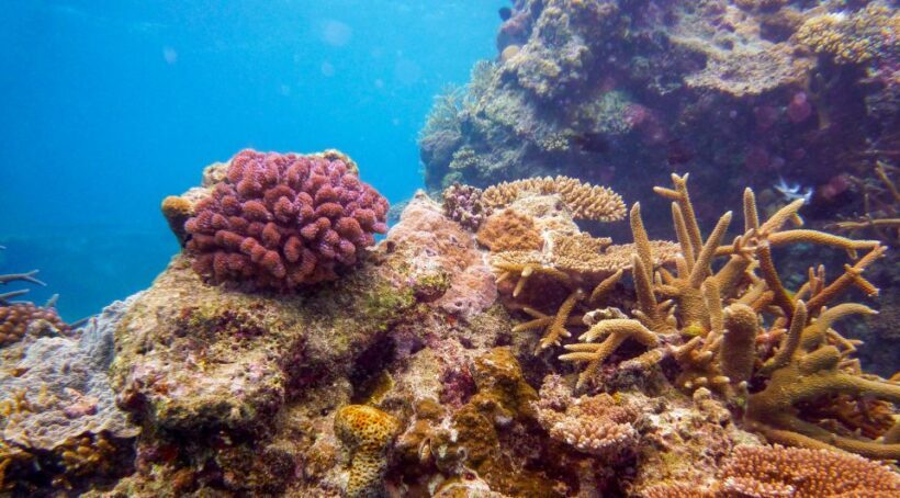Naha, Okinawa: Kerama Islands Full-Day Intro-Diving Trip - The Return & Logistics