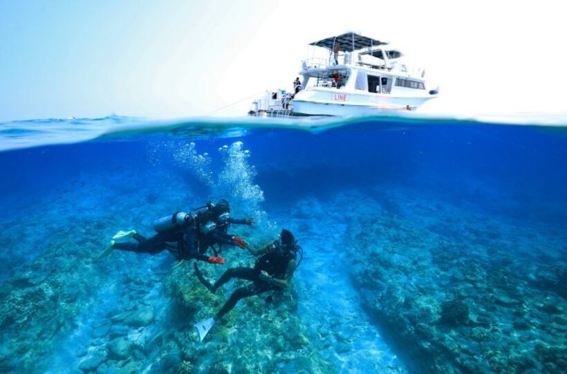 Naha, Okinawa: Kerama Islands Full-Day Intro-Diving Trip - Who Will Love This Experience?