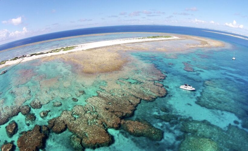 Naha, Okinawa: Keramas Island Snorkeling Day Trip with Lunch - The Pickup and Check-in Process