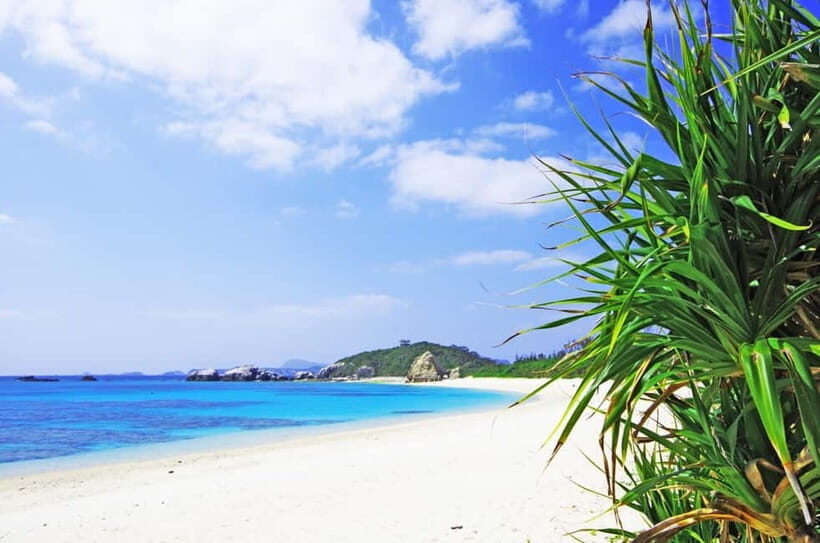 Naha: Tokashiki Day Trip & Kerama Islands Scuba Diving Trip - Naha: Tokashiki Day Trip & Kerama Islands Scuba Diving Trip — An Honest Review