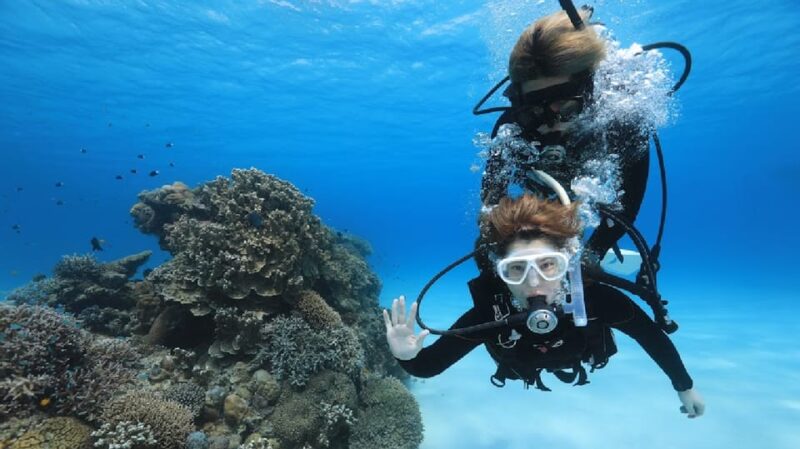 Naha: Tokashiki Day Trip & Kerama Islands Scuba Diving Trip - Highlights and Experience