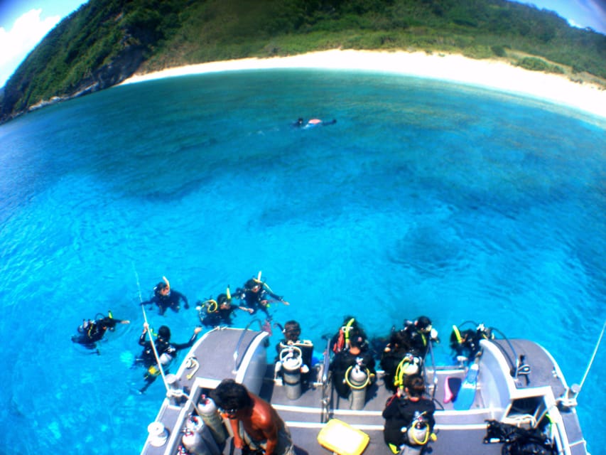 Naha:Kerama Island Experience Dive/Snorkeling/Whale Watching - Safety Measures
