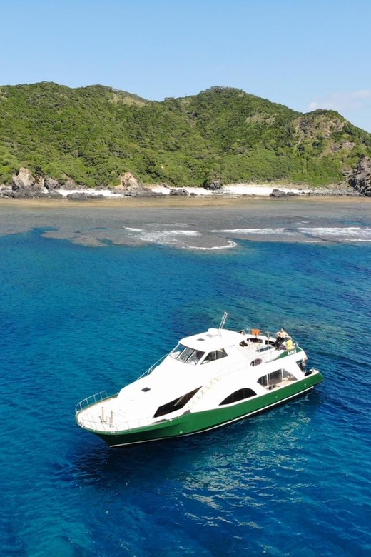 Naha:Kerama Island Experience Dive/Snorkeling/Whale Watching - Underwater Highlights