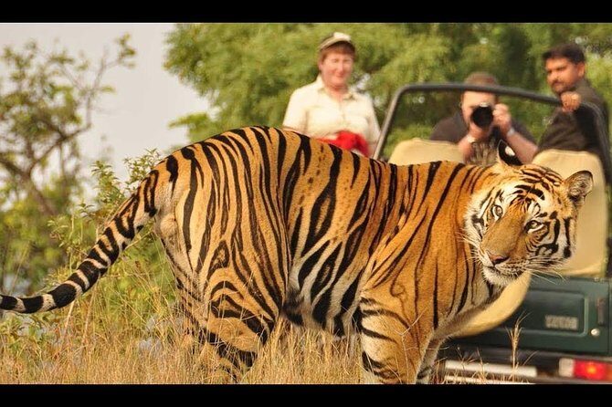 Nainital Jim Corbett 4 Days Tour Package From Delhi - FAQs