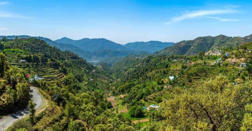 Nainital Nature Trekking Experience (4 Hours Experience) - Who Will Love This Tour?