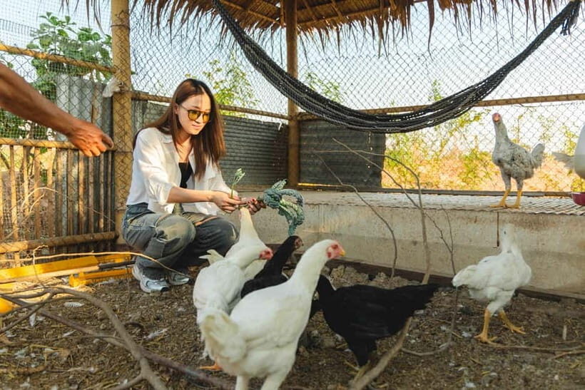 Nakhon Ratchasima: Farm-to-Table Experience, Private (2D 1N) - The Value Proposition: Price and Practicalities