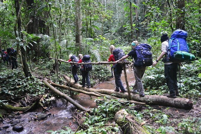 Nalan Trail and Khmu Tribe: 2 Days Trek in Nam Ha NPA - Key Points