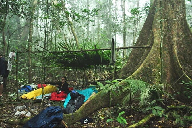 Nam Ha NPA 3 Day Wildlife Jungle Camp and Village Homestay Trek - Introducing the Nam Ha NPA 3-Day Wildlife Jungle Camp and Village Homestay Trek