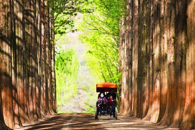 Nami Island and Rail Bike Day Trip from Seoul - What You’ll Love About This Tour