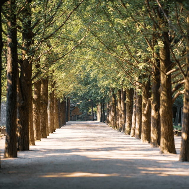 Nami Island, Apple Picking & Railbike Day Trip from Seoul - FAQs