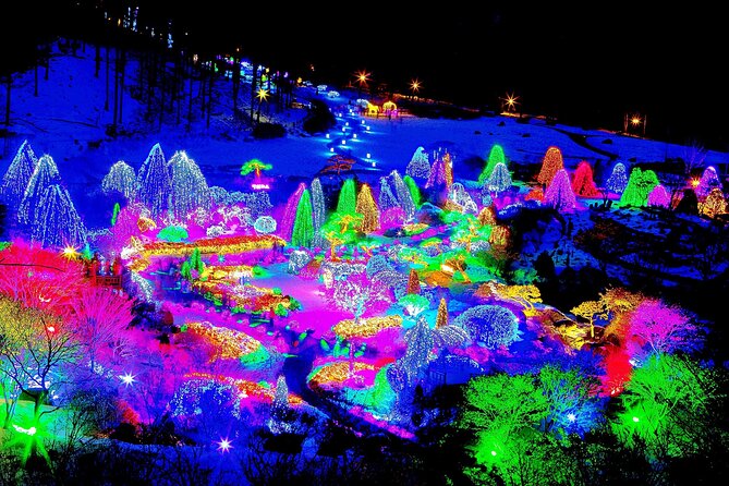 Nami Island, Cable Car, Garden of Morning Calm Panoramic Tour - Who Will Love This Tour?