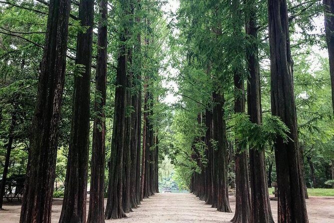 Nami Island & Nearby Attractions : Charter Van Tour With Driver - Final Thoughts: Is This Tour Worth It?