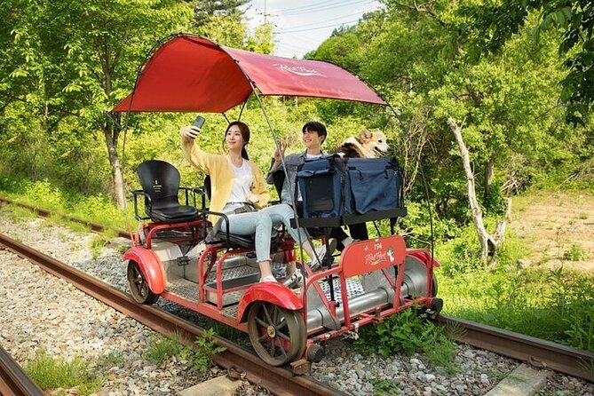 Nami Island & Petite France & Italian Village & Gangchon Rail Bike One-Day Tour - FAQs