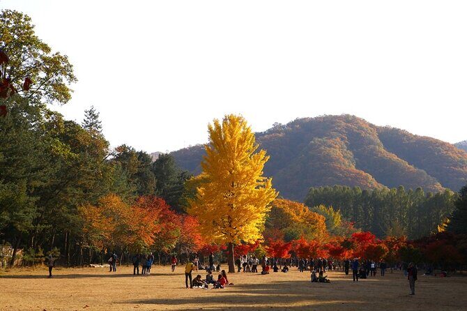 Nami Island & Petite France & Railbike & Morning Calm - Final Thoughts