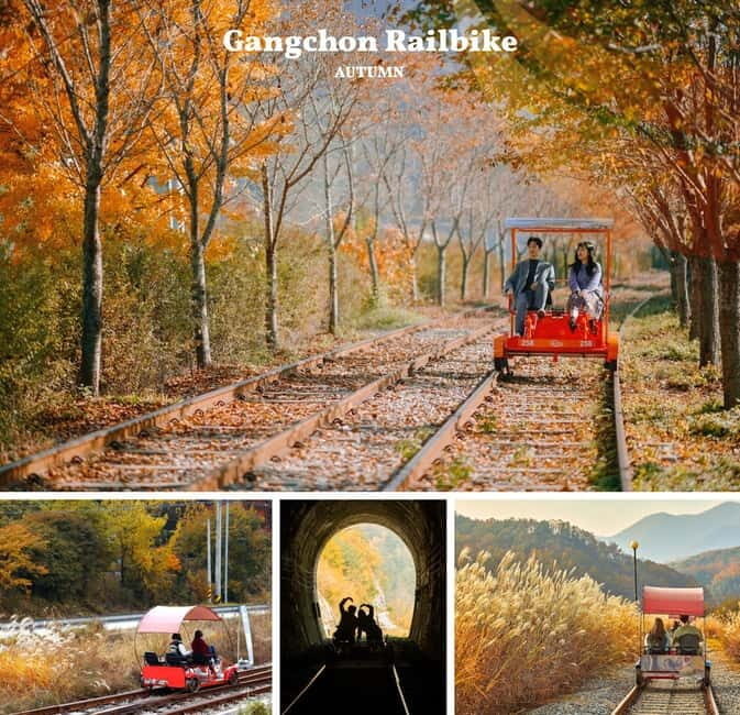 Nami Island, Railbike & Alpaca Garden Day Trip from Seoul - Discovering the Charm of Korea’s Fall: Nami Island, Railbike & Alpaca Garden Day Trip from Seoul
