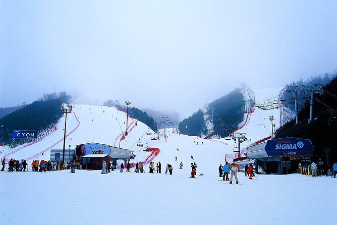 Nami Island + Ski Tour - Exploring the Itinerary in Detail