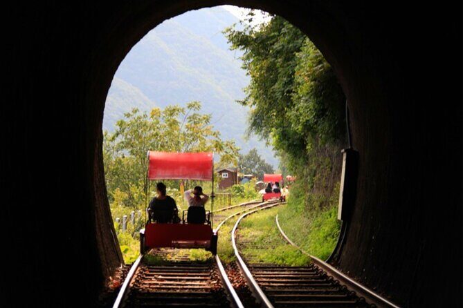 Nami Island & Strawberry Picking and Jam Making & Railbike - Key Points
