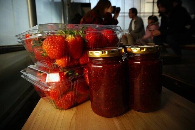 Nami Island & Strawberry Picking and Jam Making & Railbike - The Sum Up: Is This Tour Right for You?
