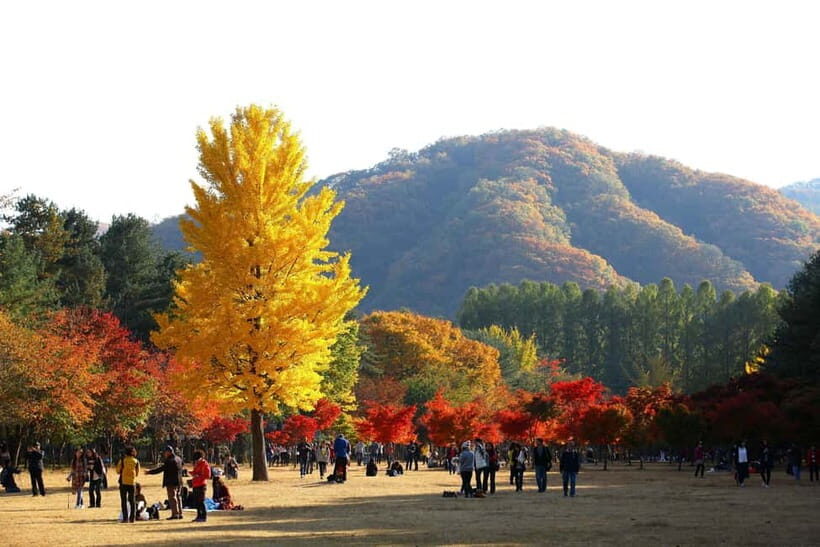 Nami Island & Theatre des Lumieres Day Tour from Seoul - FAQ