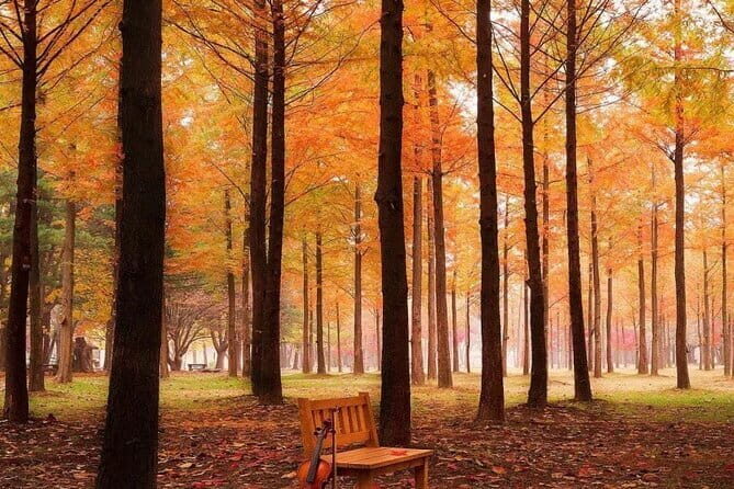Nami Island with The Garden of Morning Calm Rail Bike from Seoul - Who Is This Tour Best For?