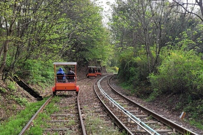 Nami Island with The Garden of Morning Calm Rail Bike from Seoul - Frequently Asked Questions (FAQs)