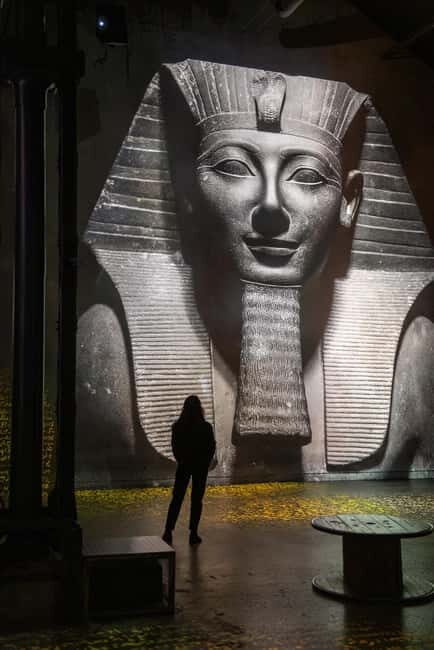 Nami & Maple Road & Theatre des Lumieres Day Tour from Seoul - An In-Depth Look at the Tour Experience