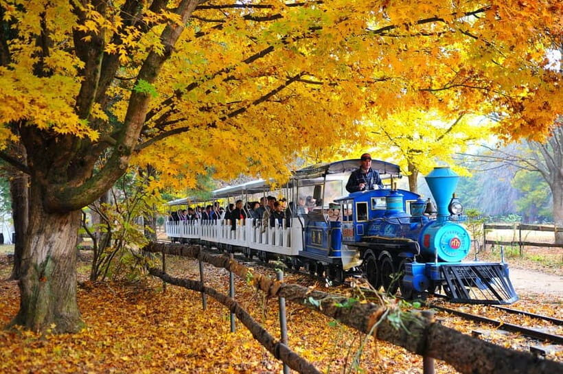 Nami & Maple Road & Theatre des Lumieres Day Tour from Seoul - FAQ