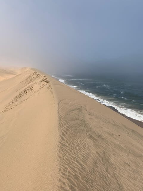 Namibia; Classic Sandwich Harbour Tour - What to Expect from the Tour