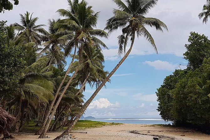 Namua Turtle Island and Eastern Upolu Tour - The Experience: What You Can Expect