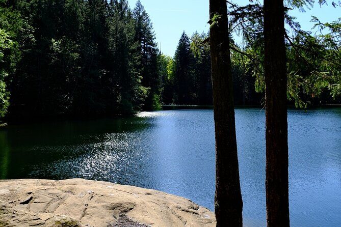 Nanaimo Urban Oasis Trail Walking Tour - What to Expect: A Detailed Breakdown of the Tour