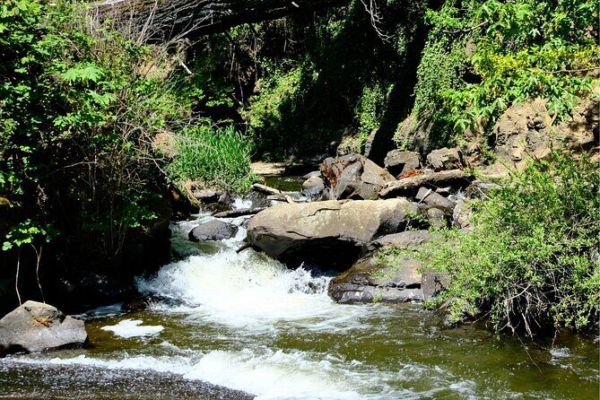 Nanaimo Urban Oasis Trail Walking Tour - Final Thoughts