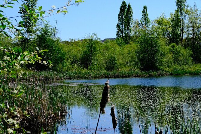 Nanaimo Urban Oasis Trail Walking Tour - FAQ