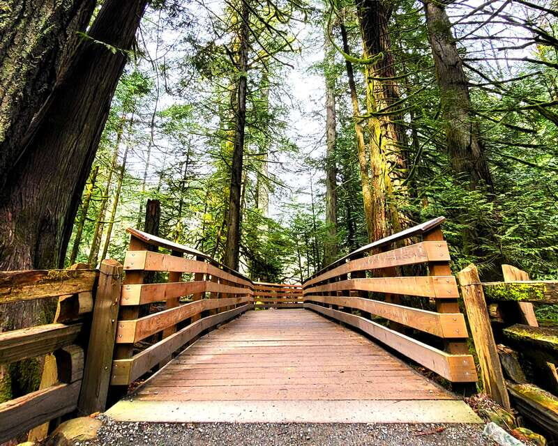 Nanaimo: Vancouver Island Waterfalls, Vistas, Hikes & Caves - Key Points