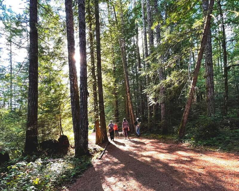 Nanaimo: Vancouver Island Waterfalls, Vistas, Hikes & Caves - An In-Depth Look at the Tour Experience