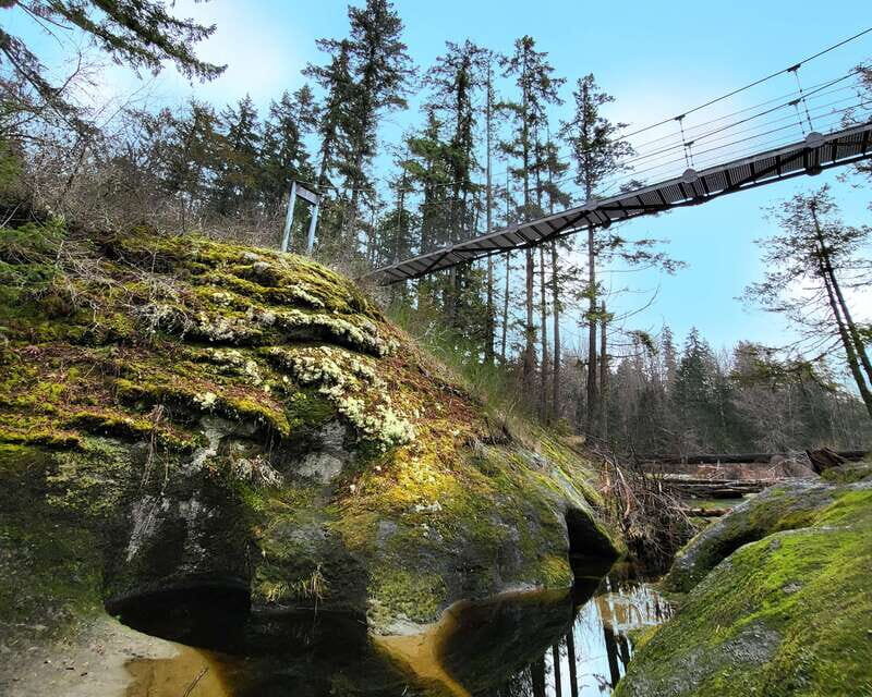 Nanaimo: Vancouver Island Waterfalls, Vistas, Hikes & Caves - The Sum Up