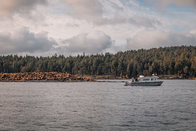 Nanaimo Whale Watching in a Semi-Covered Boat - FAQs