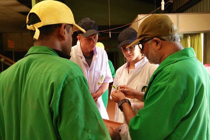 Nandana Tea Walking Tour in Sri Lanka - FAQs