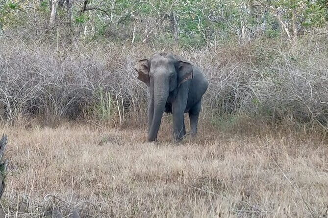 Nandi Trail Tour - Final Thoughts: Who Will Love the Nandi Trail Tour?