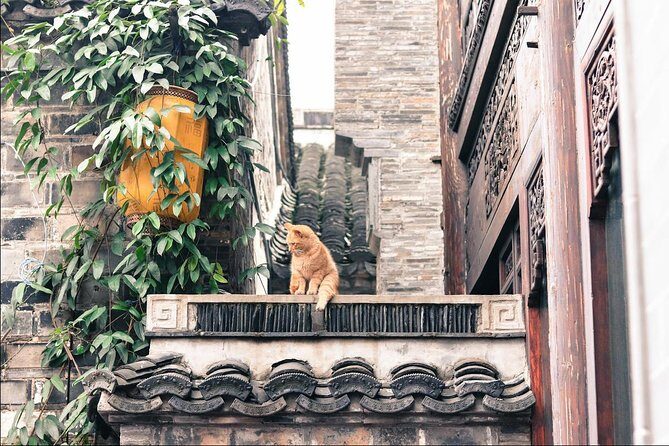 Nanjing Day Tour from Shanghai by Bullet Train - Analyzing the Experience: Value and Practicality