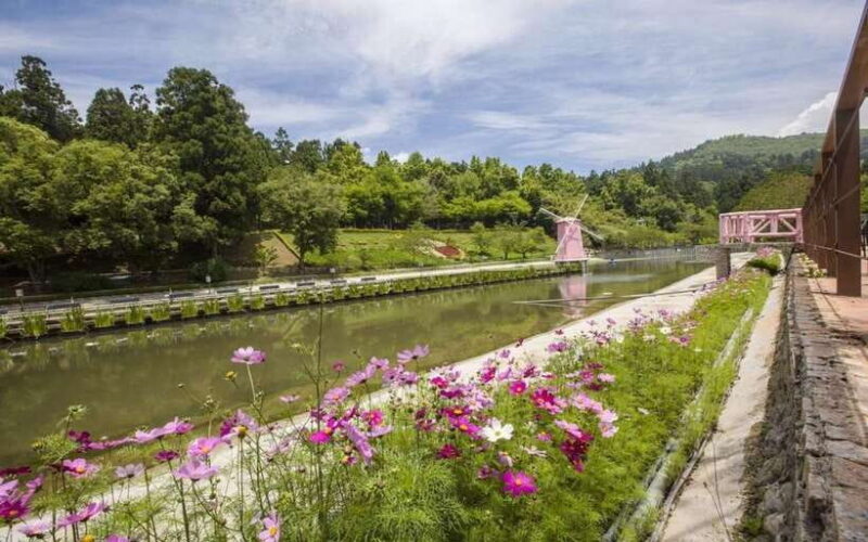 Nantou: Qingjing Farm Green Green Grassland Ticket & Combos - Practicalities and What to Expect