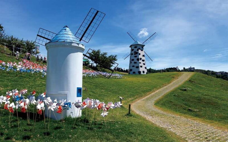 Nantou: Qingjing Farm Green Green Grassland Ticket & Combos - Who Should Consider This Tour?