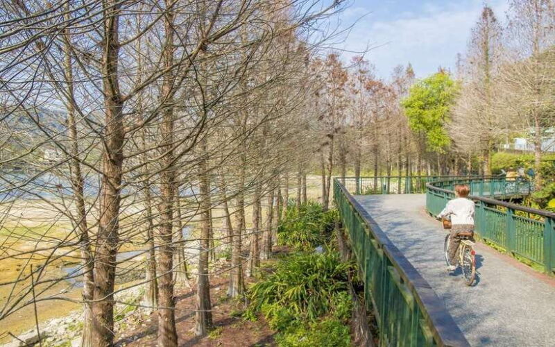 Nantou: Sun Moon Lake Combo - The Itinerary Breakdown