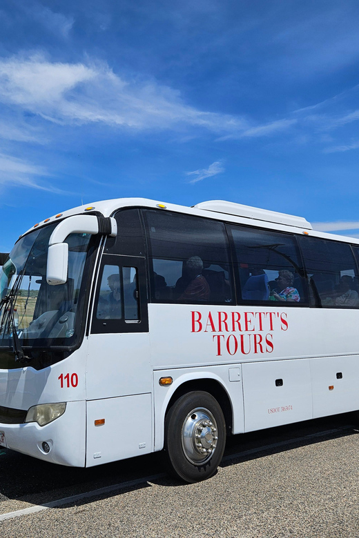 Nantucket: Historical Landmarks Sightseeing Bus Tour - Who Should Take This Tour?