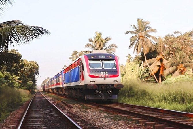 Nanu Oya to Kandy train ride on (Train No: 1006 "Podi Menike") - The Highlights of the Journey
