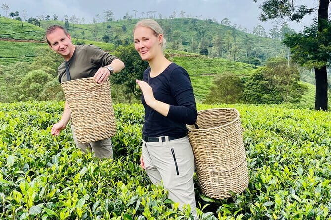 Nanu Oya to Kandy train ride on (Train No: 1006 "Podi Menike") - Authenticity and Local Flavor