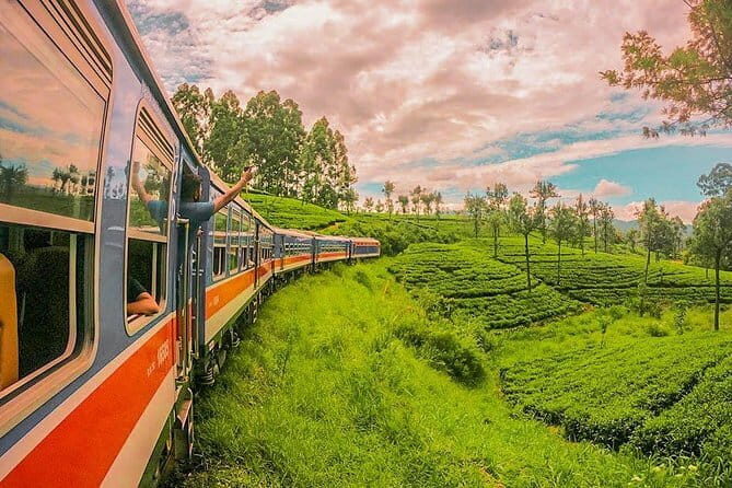 Nanu Oya to Kandy train ride on (Train No: 1006 "Podi Menike") - The Sum Up