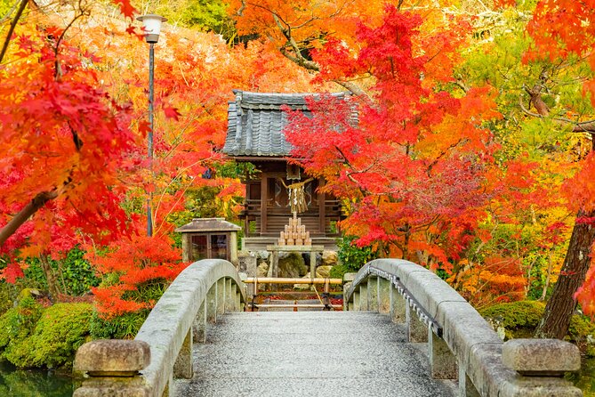 Nanzenji, Eikando, and Ginkakuji Autumn Private Tour in Kyoto - What to Expect