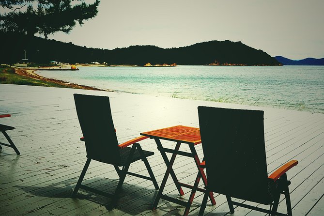 Naoshima Private Tour by Licensed Tourguide - Customer Feedback and Testimonials