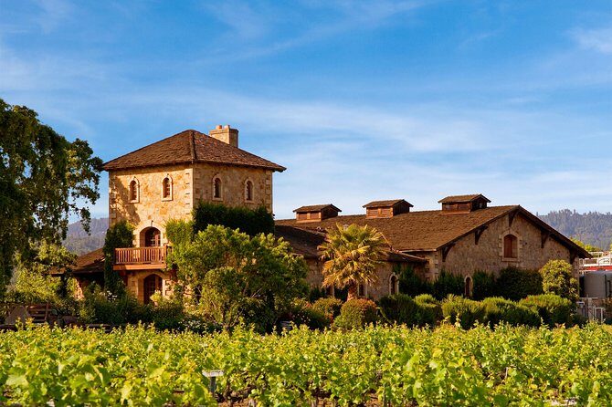 Napa and Sonoma-8-hr Private-Wine Tour from San Francisco XL SUV - Analyzing the Value