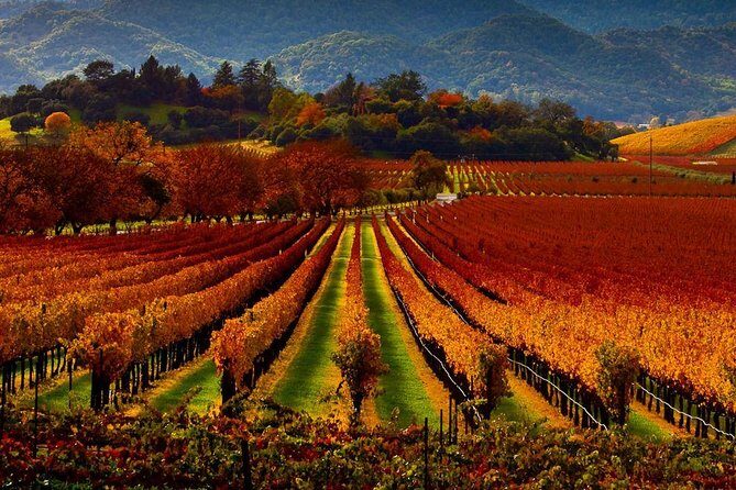 Napa and Sonoma Limo - What You Can Expect from the Napa and Sonoma Limo Tour